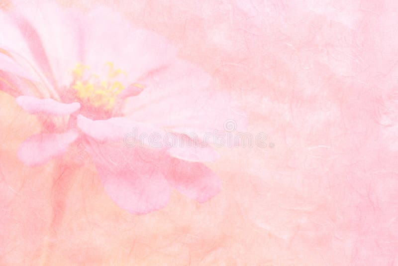 Pink Flowers on Handmade Paper or Mulberry Paper Stock Photo - Image of ...