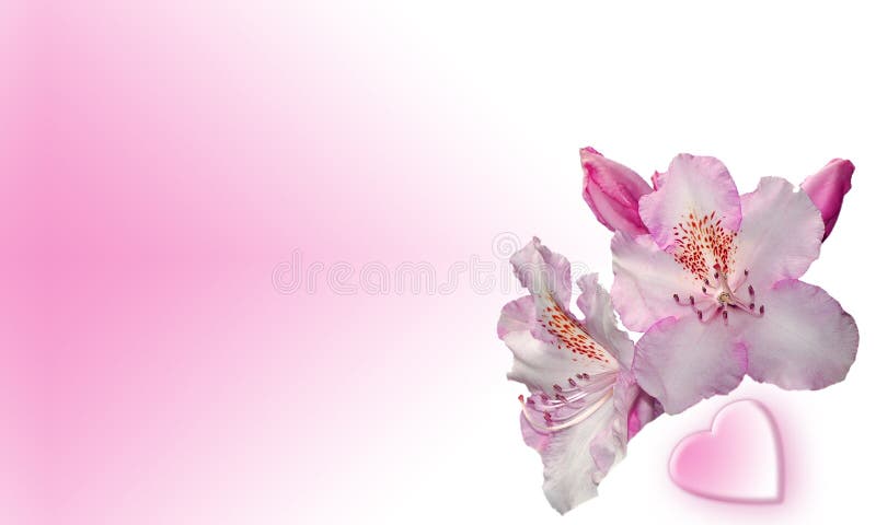 Real Heart Flower Stock Illustrations – 930 Real Heart Flower Stock ...