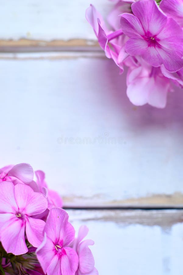 Pink Flowers on a Wooden Table Stock Image - Image of decoration, pink ...