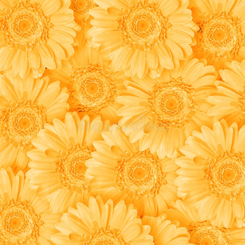 Yellow Flowers Pattern Texture Background Stock Photo - Image of ...