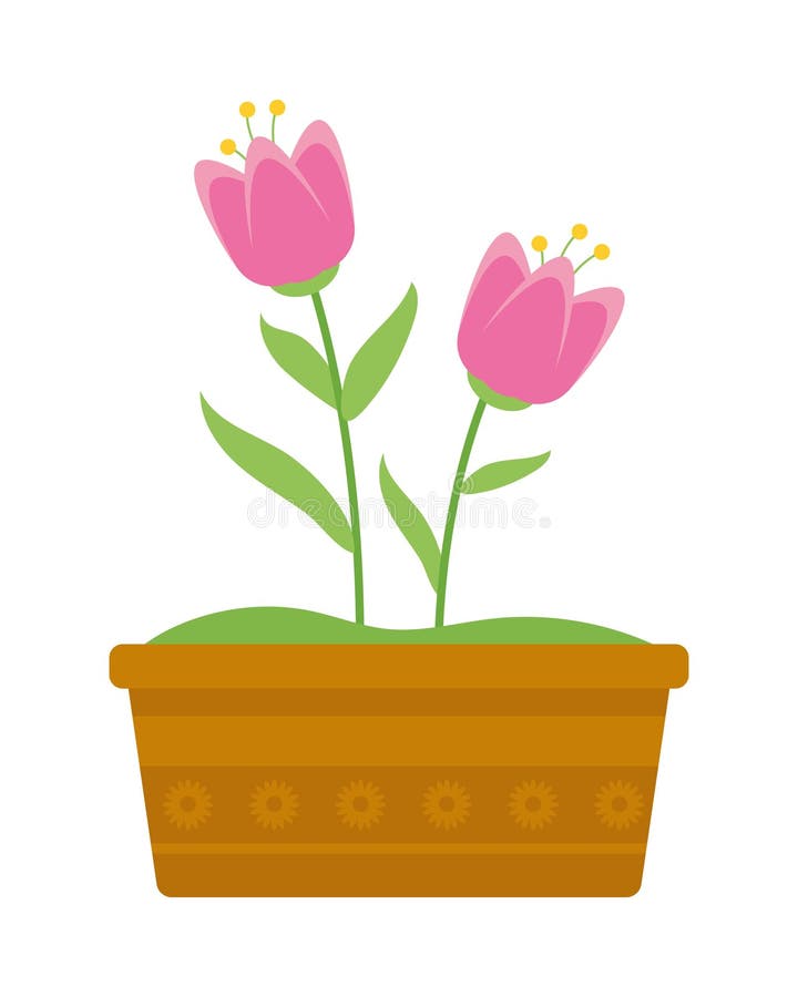 Pink flowers in pot stock vector. Illustration of pink - 273136748