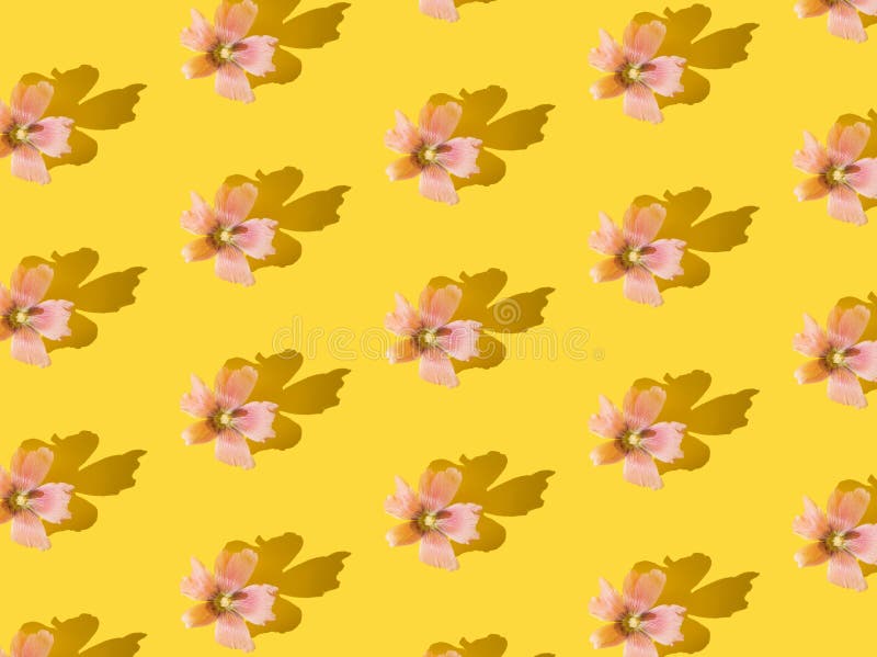 Pink Flowers with Shadow on a Yellow Background. Pattern Stock Image ...