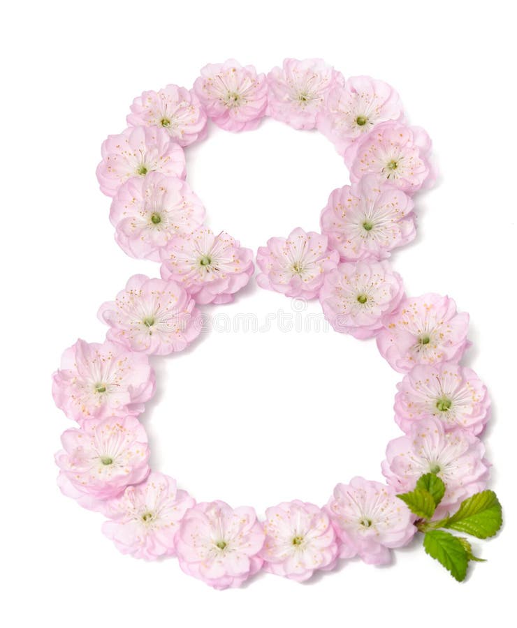 Pink Flowers In A Shape Of Number Eight Stock Photo - Image of ...