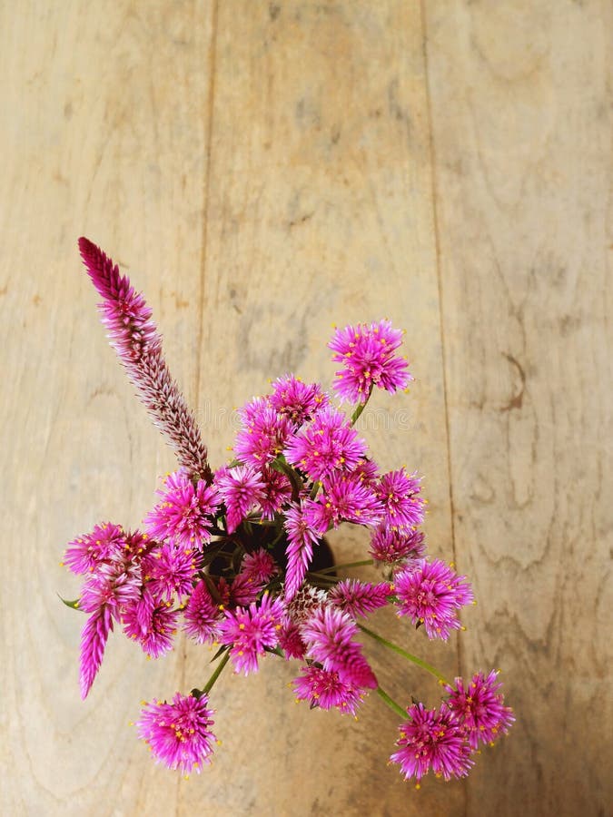 Pink Flowers on Wooden Table Stock Image - Image of background, pink ...