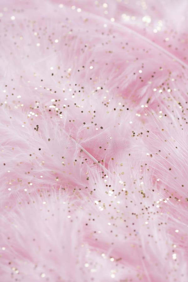 Pink Fluffy Feathers with Gold Glitter Stock Image - Image of modern ...