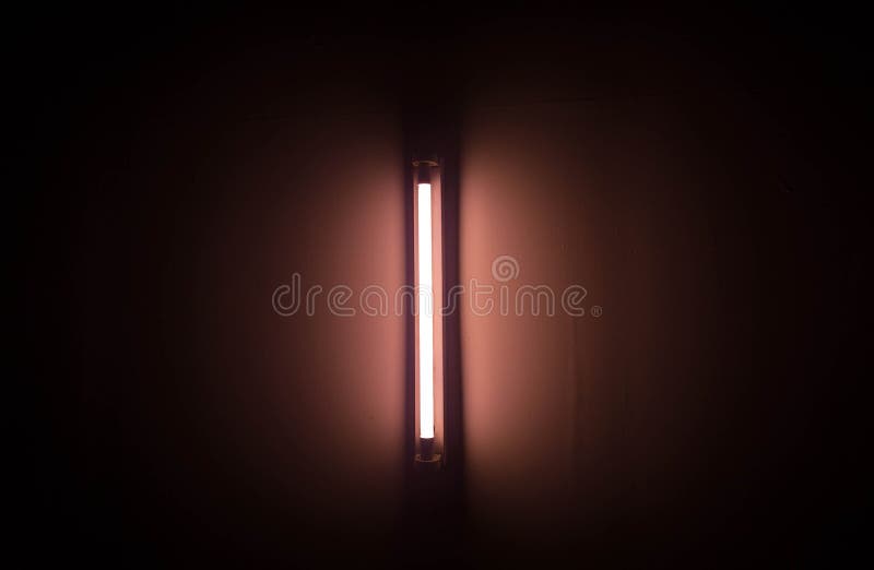 The Pink Fluorescent Light. Stock Image - Image of home, open: 239750387