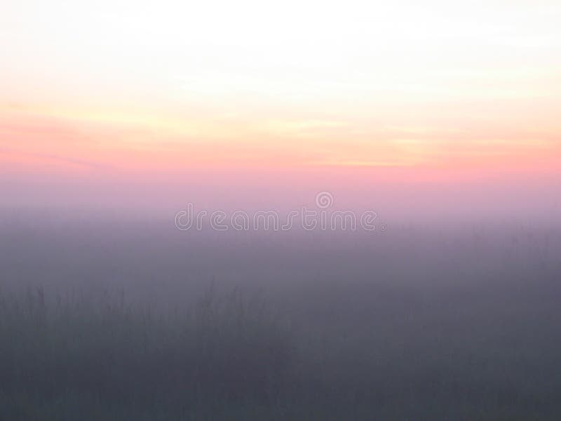 Pink fog stock image. Image of landscape, sunset, dusk - 12517525
