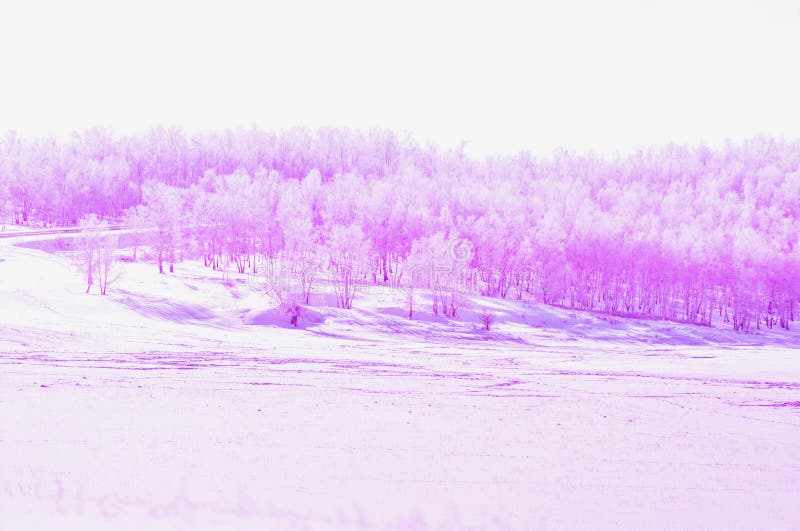 Pink forest in winter stock image. Image of country - 110259675
