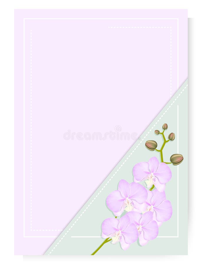 Pink Frame with Corner Orchid Pattern and Place for Text Stock ...