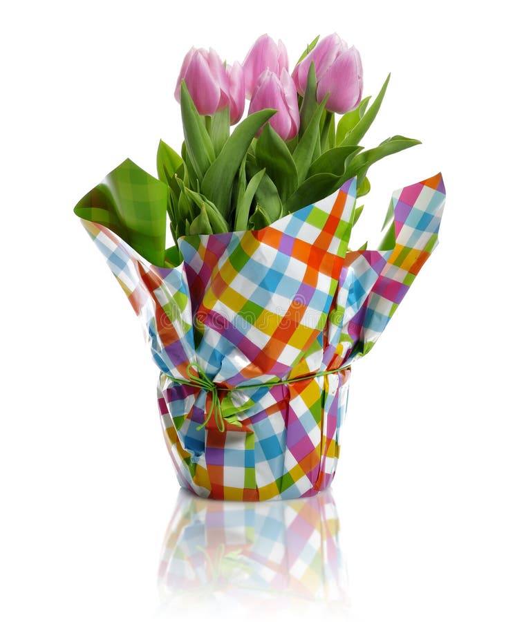 Pink Fresh Tulips stock image. Image of plant, fresh - 30219155