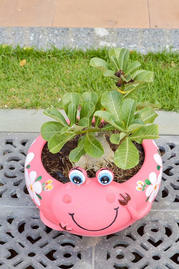 Pink frog tree pot stock photo. Image of cute, tree, leaf - 48069930
