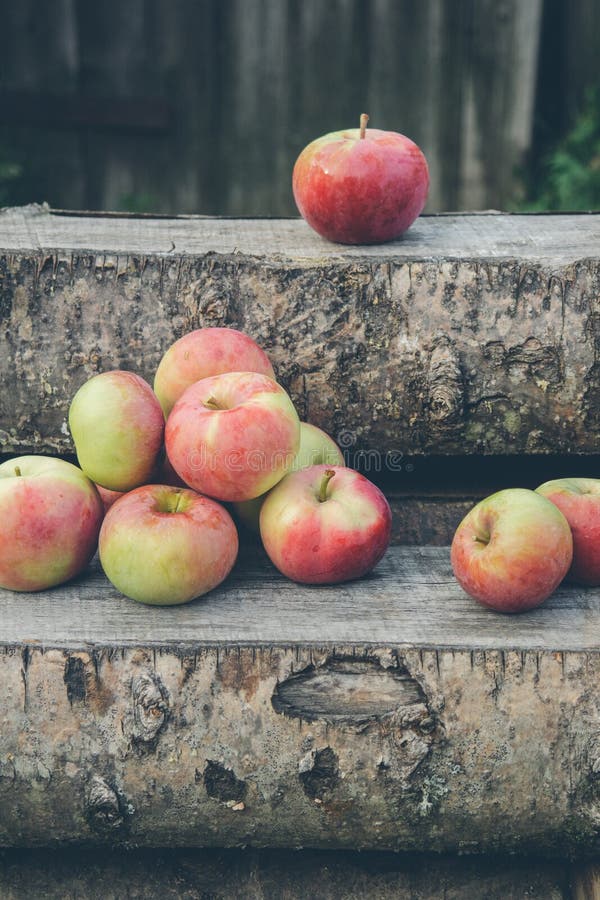 Pink Fruit Apples on Wooden Boards in the Yard in the Village Stock ...