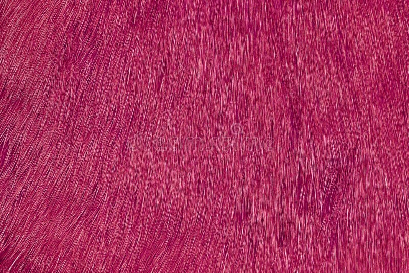 Closeup of Natural Soft Romantic Pastel Pink Animal Fluffy Fur Wool ...