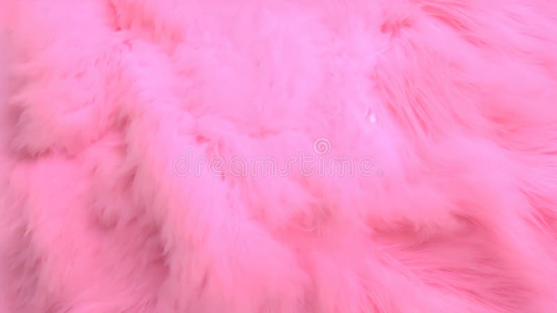 Pink Fur Texture Background. Close Up of Pink Fluffy Fur Texture, Show ...