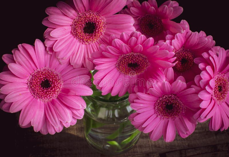 Germini Bouquet Stock Photos - Free & Royalty-Free Stock Photos from ...