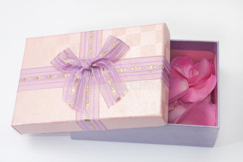 Pink Gift Box with Pink Rose Petals Stock Image - Image of cube, floral ...