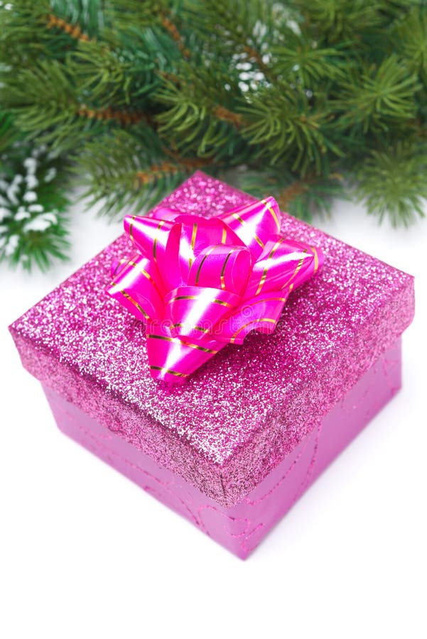 Pink Gift Box and Spruce Branches, Isolated Stock Image - Image of card ...
