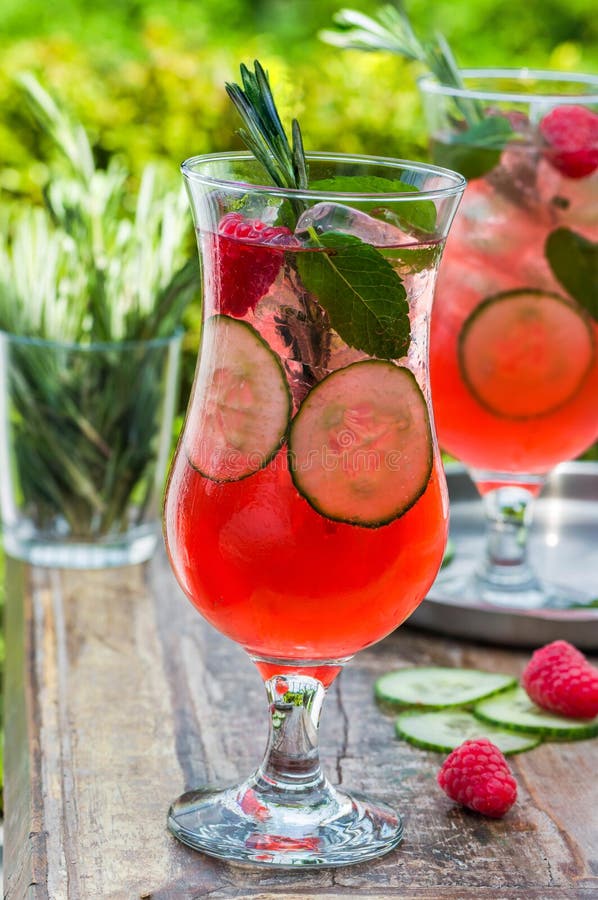 Pink Gin and Tonic Cocktail Stock Image - Image of fresh, lifestyle ...