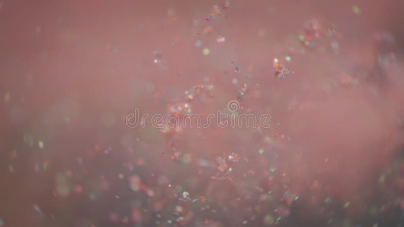 Glitter Particles with Stars. Bokeh Shiny Particles Loop Animation ...