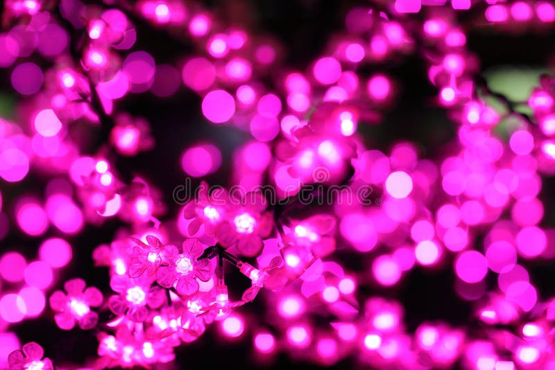 Pink Glowing Holiday Lights Bokeh Stock Photo - Image of depth, bokeh ...