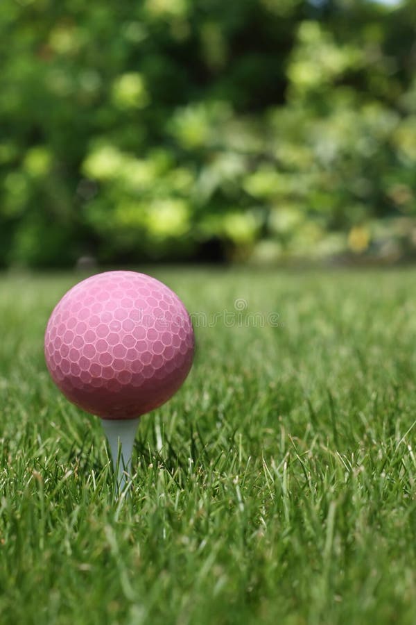 Ladies golf stock photo. Image of lady, golfing, pink - 5684598
