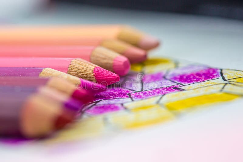 Pink Gradient of Colored Pencils in a Row Stock Photo - Image of group ...