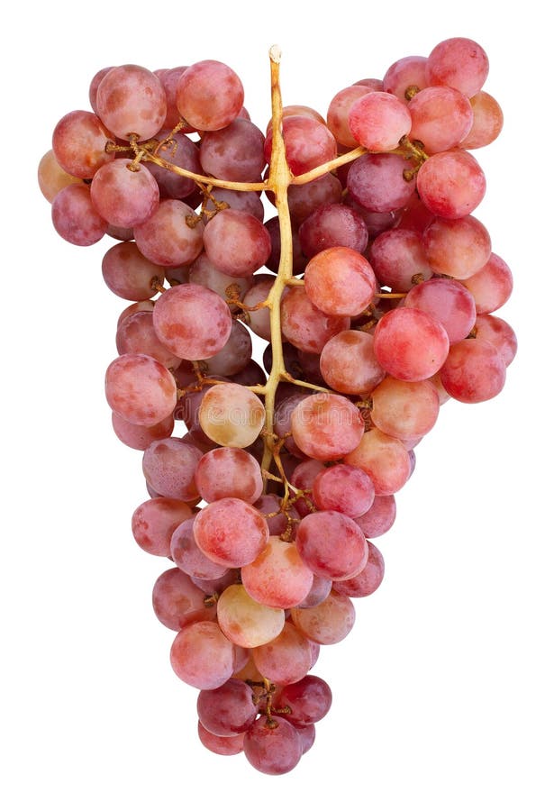 Pink grape stock photo. Image of side, nutrient, grape - 188159978