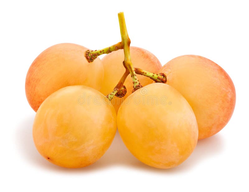 Pink grape stock image. Image of juicy, pink, food, healthy - 169981423