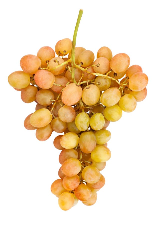 Pink grape stock image. Image of cluster, path, clipping - 169981719