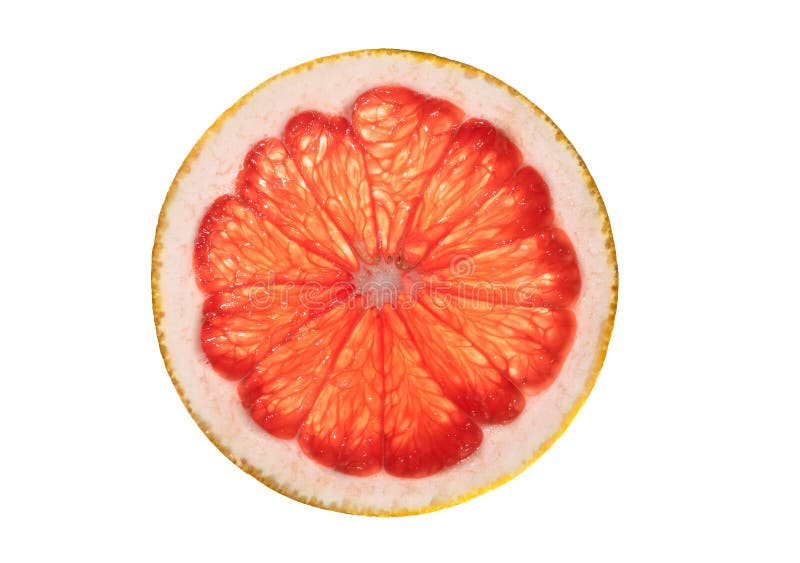 Slices of citrus fruits stock photo. Image of organic - 40352302