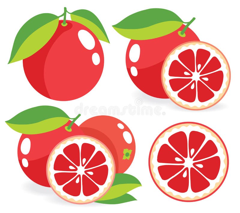 Pink Grapefruits Vector Illustrations Stock Vector - Illustration of ...
