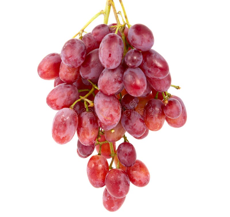 Pink grapes stock image. Image of pink, cluster, berry - 11529739