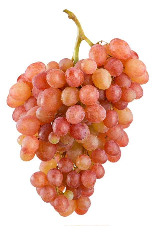 Pink Grape Isolated on the White Background Stock Image - Image of ...