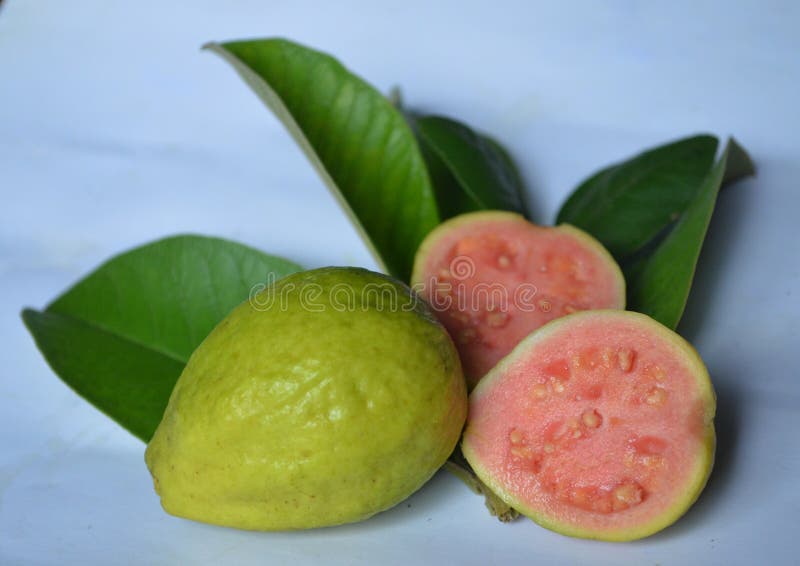 Pink guava stock photo. Image of verdurous, summer, delicious - 79620888