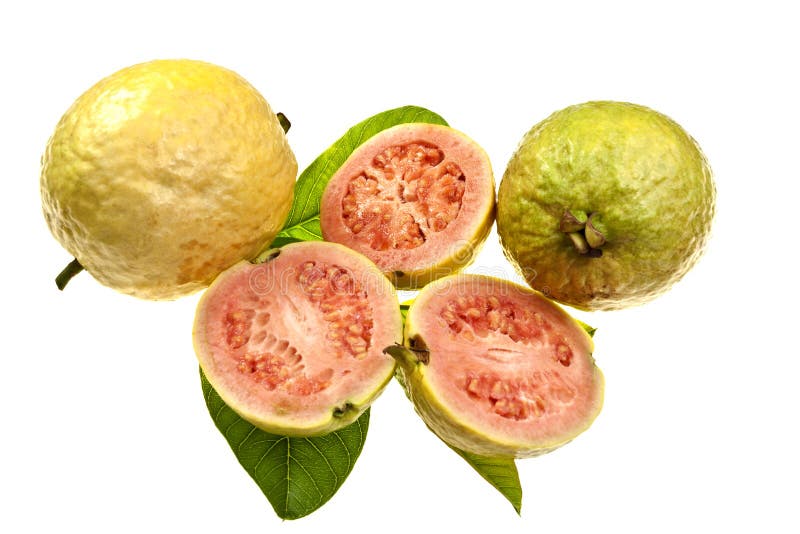 Fresh Guava Fruit stock image. Image of goiaba, fresh - 33492215