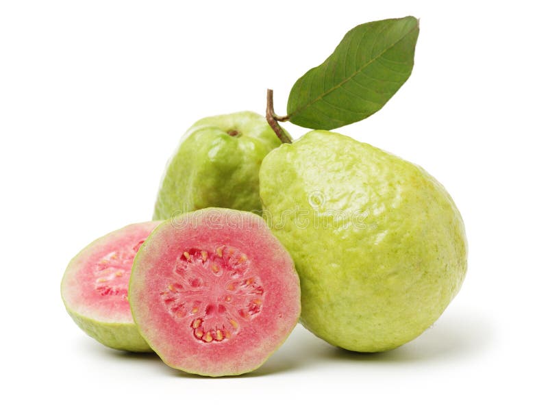 Guava stock photo. Image of soft, evergreen, fruits, guajava - 34356122