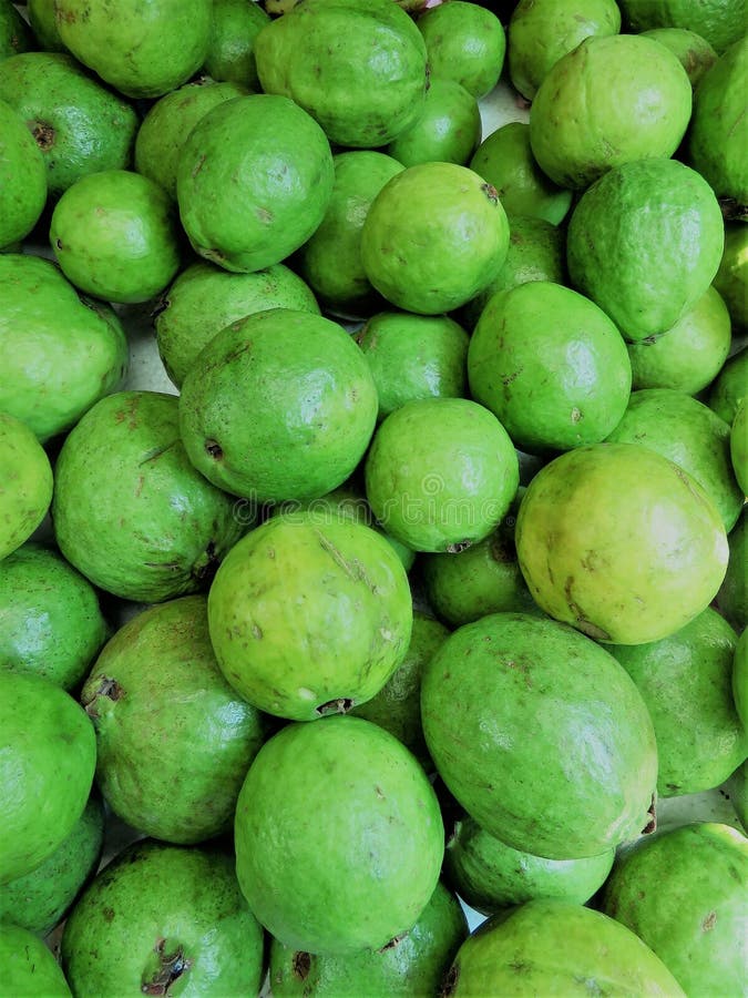 Pinkguava Stock Photos - Free & Royalty-Free Stock Photos from Dreamstime