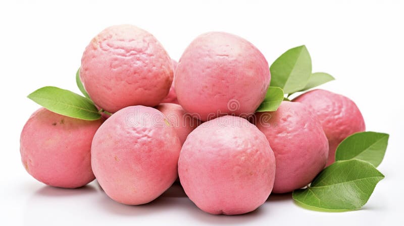 Pink Guava Isolated on White Background Stock Illustration ...