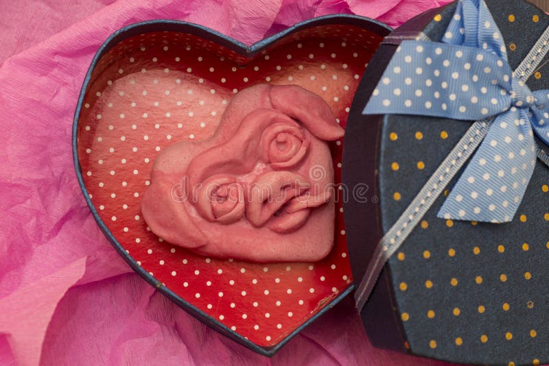 Pink Heart with Funny Muzzle the Pig. Stock Image - Image of pork ...