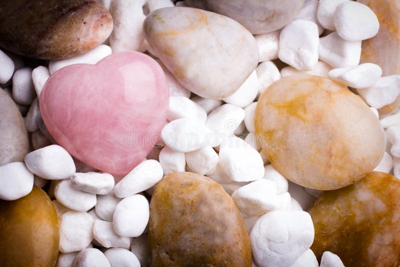 In the Heart of a Stone Flower Stock Photo - Image of ...