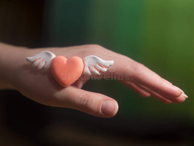 Pink Heart with Wings in the Hands Love Carry Valentine Stock Image ...