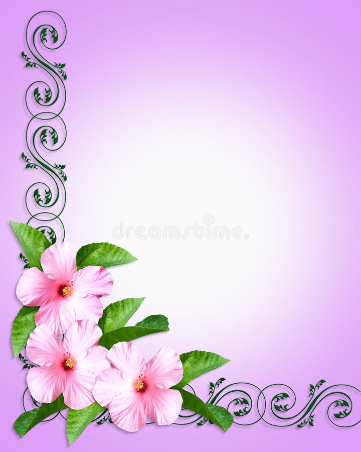 25+ Hibiscus border Free Stock Photos - StockFreeImages
