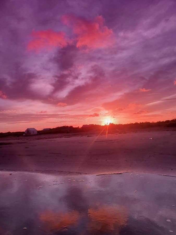 Pink Horizons stock image. Image of reflection, quail - 226814233