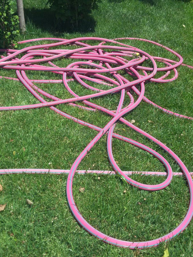 Pink Hose stock photo. Image of summer, convoluted, irrigate - 54690750
