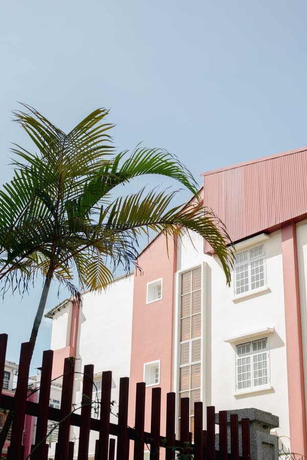 Pink House and Tropical Tree in Da Lat, Vietnam Stock Image - Image of ...