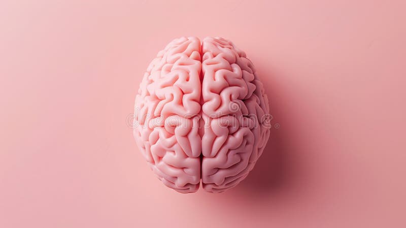 The Pink Human Brain.AI Generated Image Stock Image - Image of abstract ...