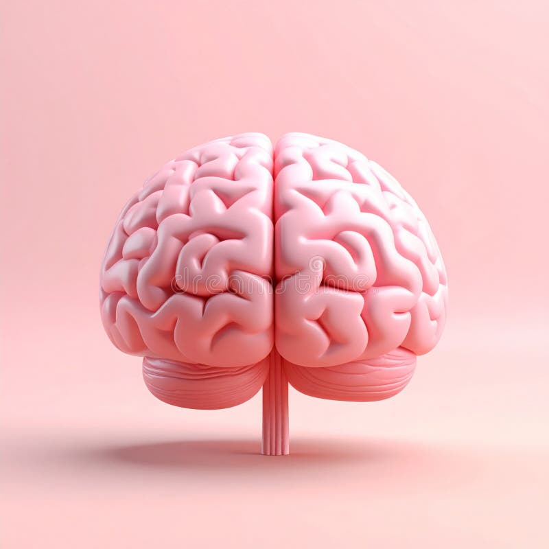 Pink Human Brain 3D Render on Pastel Background Stock Illustration ...