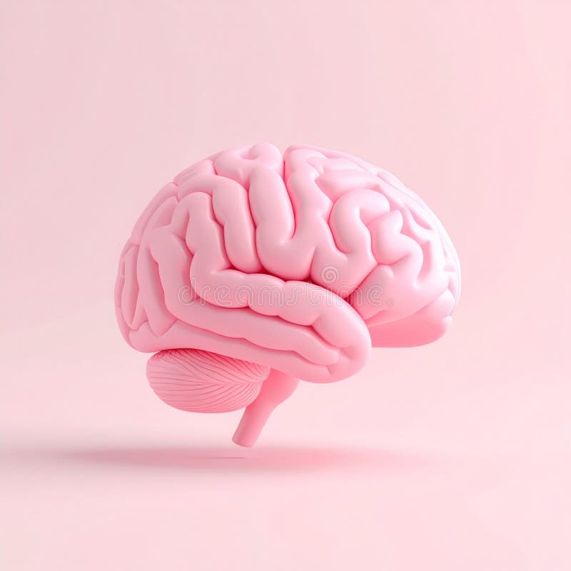 Pink Human Brain 3D Render on Pastel Background Stock Illustration ...