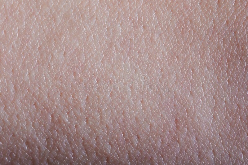 Pink human texture surface stock photo. Image of freckles - 222391072