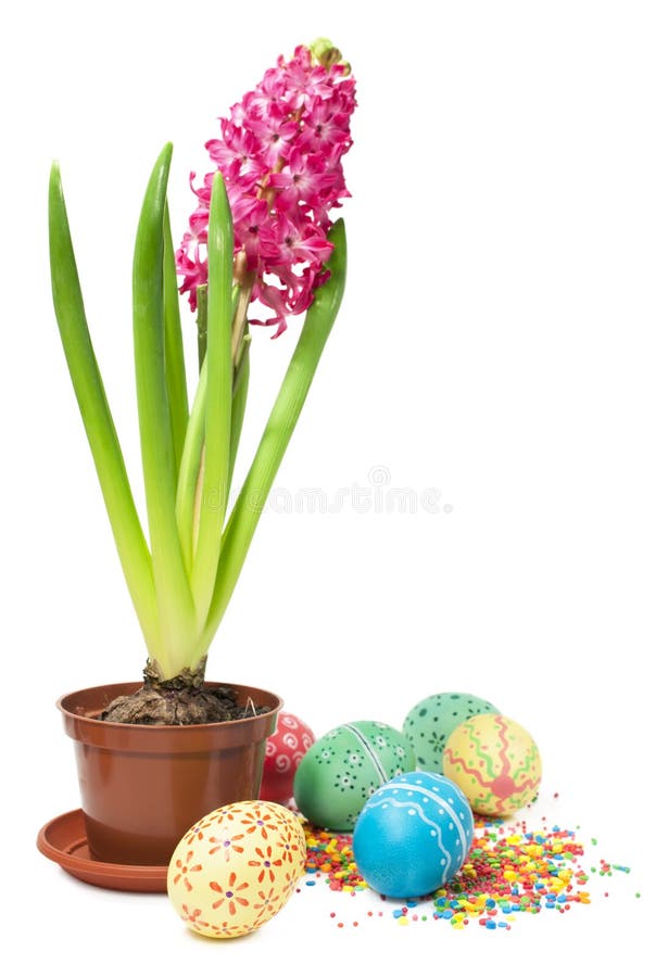 Pink Hyacinth and Easter Eggs Stock Image - Image of religious ...